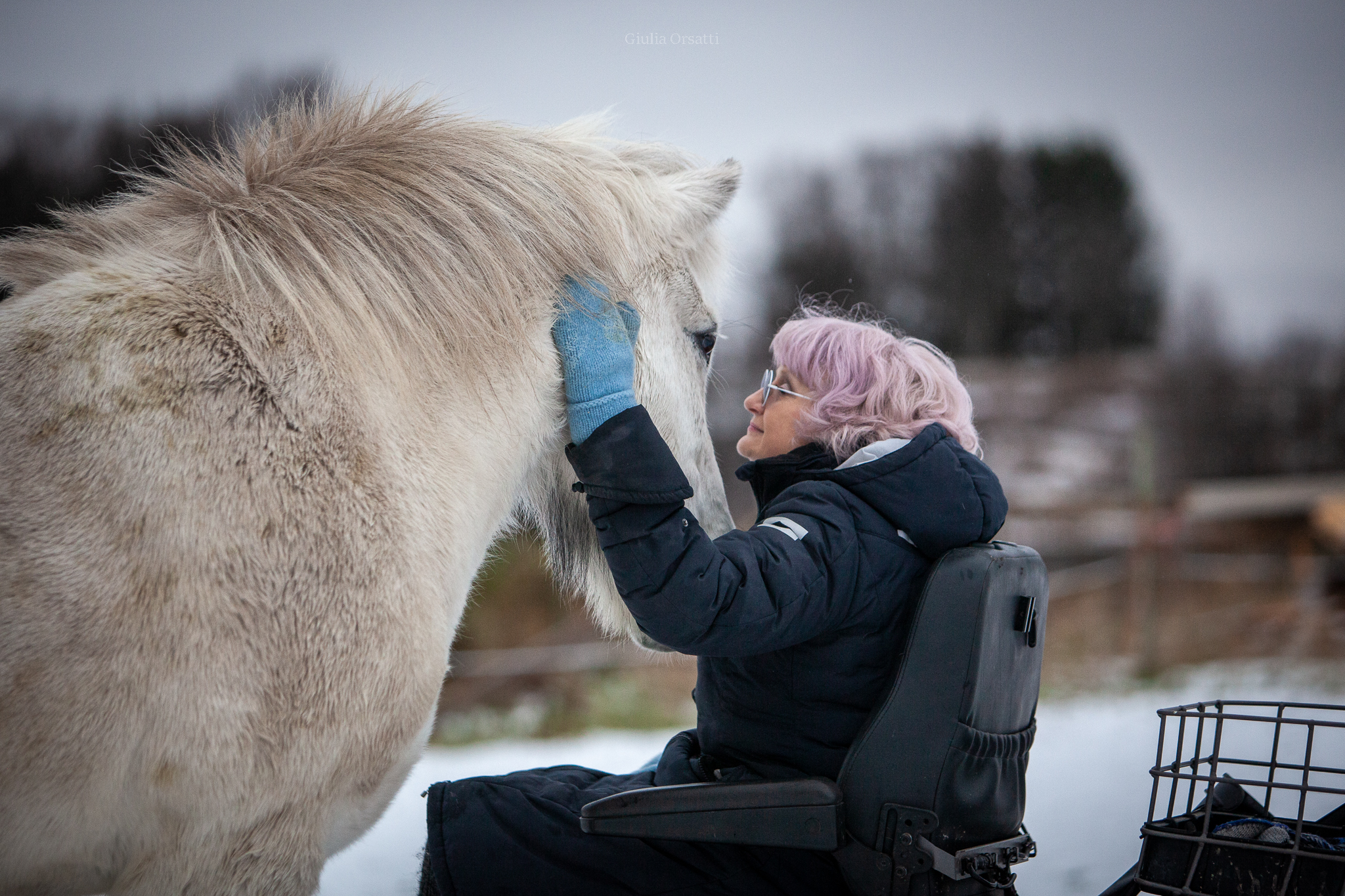 “Mirror, mirror on the wall….” – Do horses have “awareness of self”? A ...