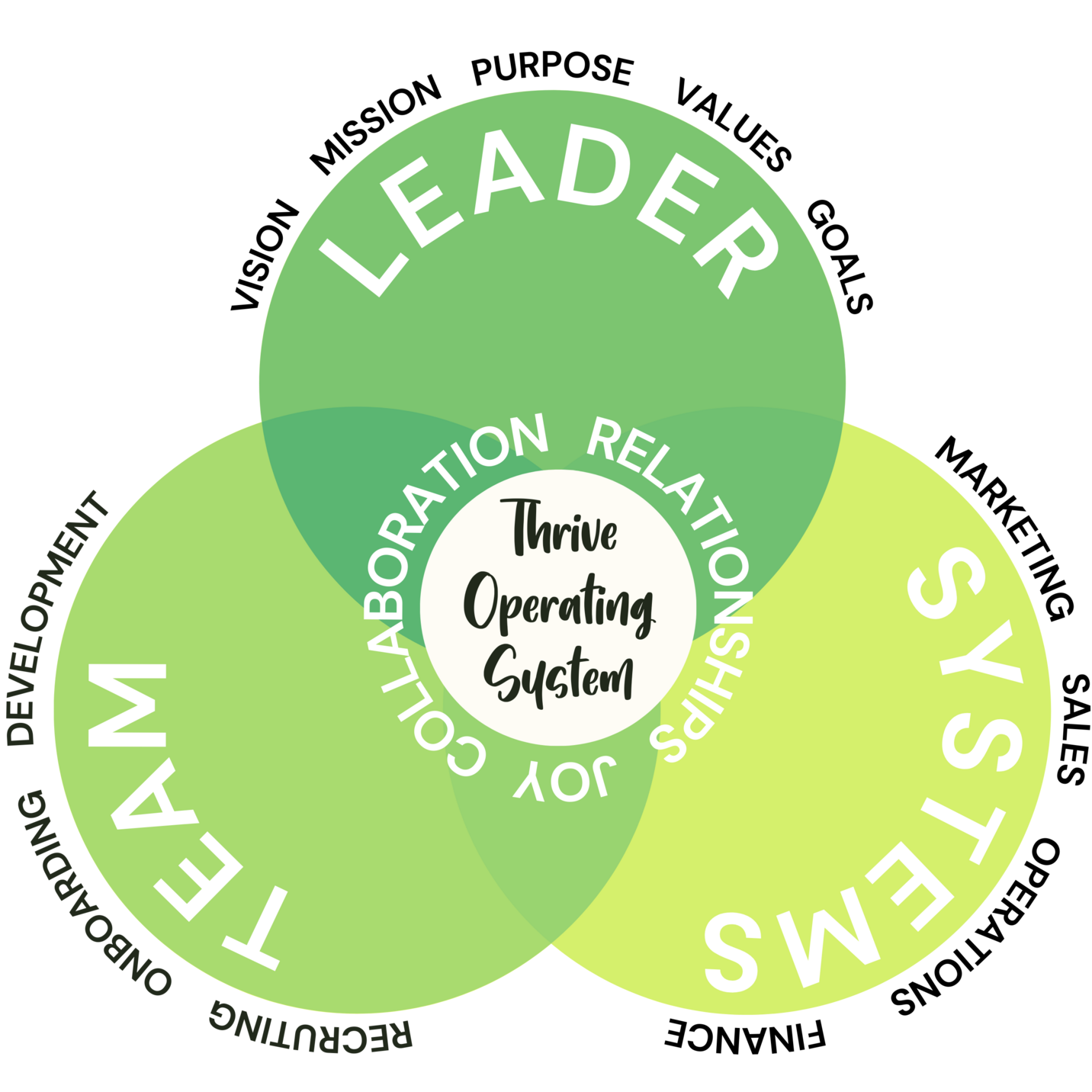 Home [www.alisonbeierlein.com]