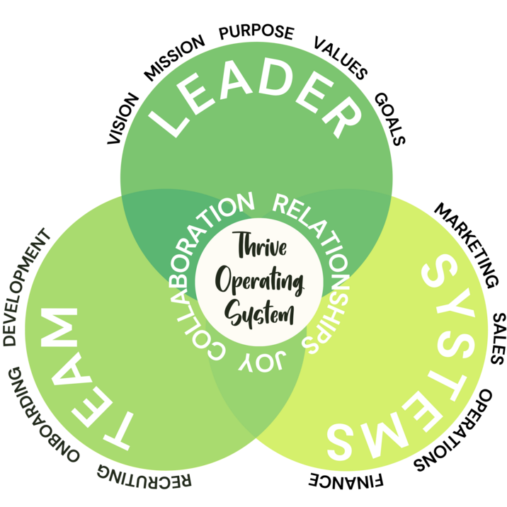 Home [www.alisonbeierlein.com]